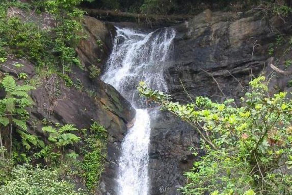 A complete guide to treks and waterfalls in Chikmagalur