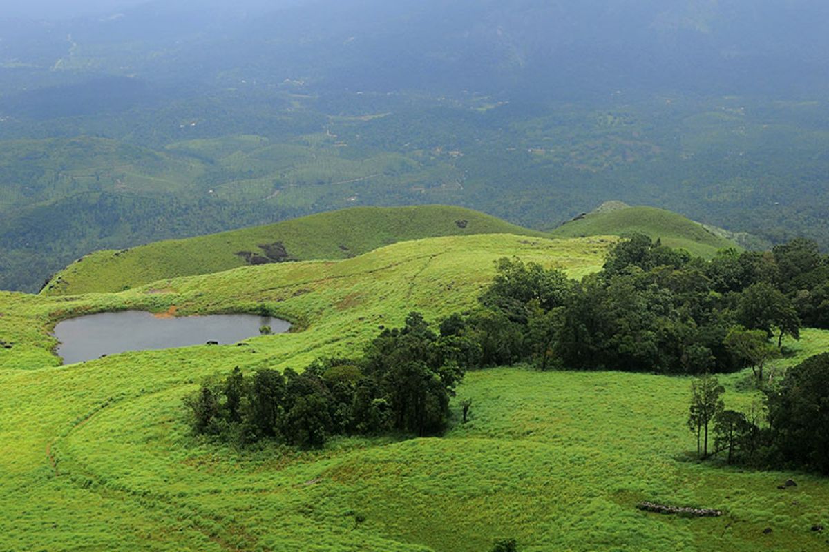 12 Exciting things to do in Wayanad