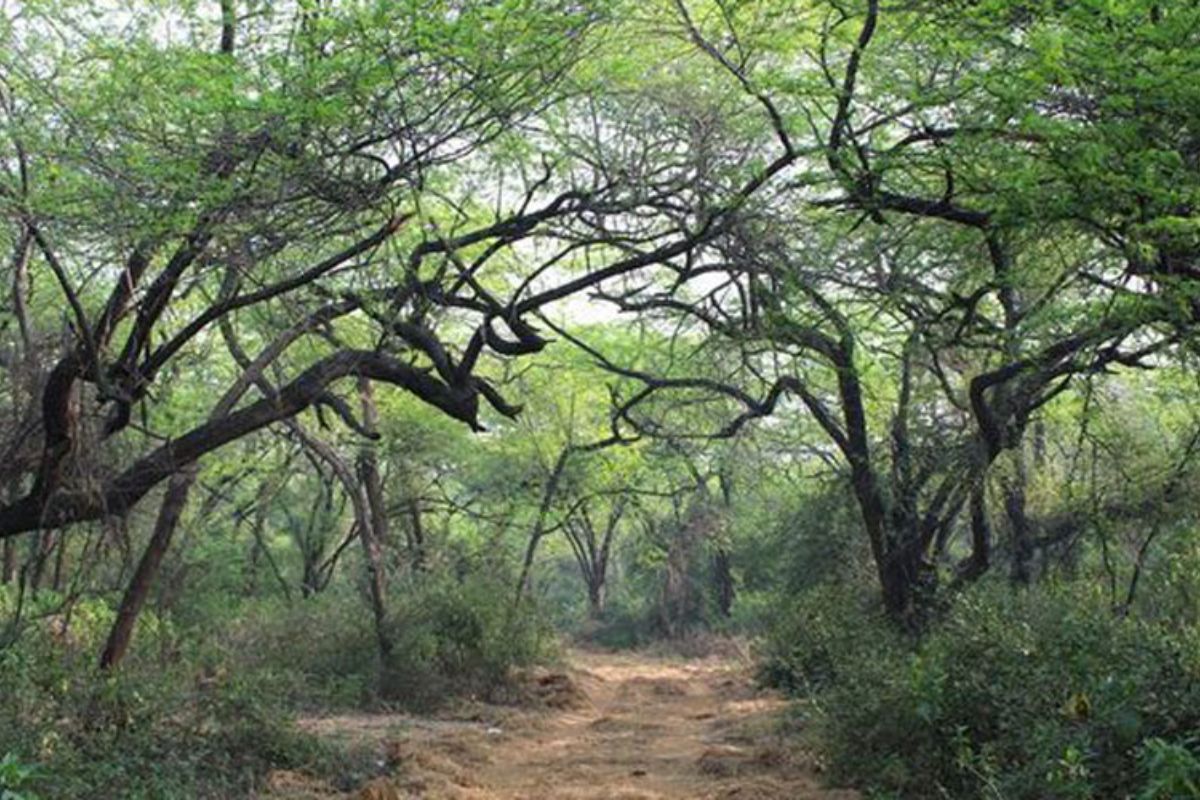 The 15 most haunted places in Delhi to visit in 2025