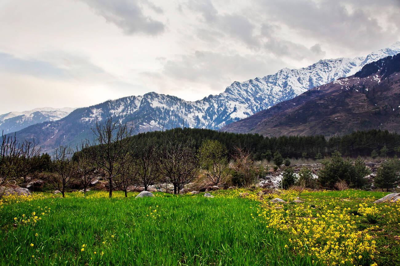 10 Best spots for photography in Manali