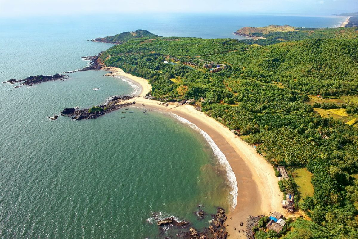 Bioluminescence in Gokarna: A complete guide to exploring the glowing ...